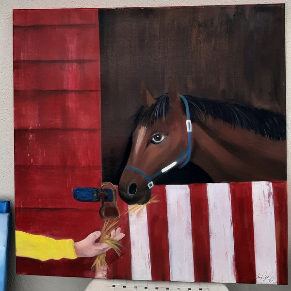 Lipodistrofi hastası Rumeysa Çaylan, Lipodistrofi nedir,